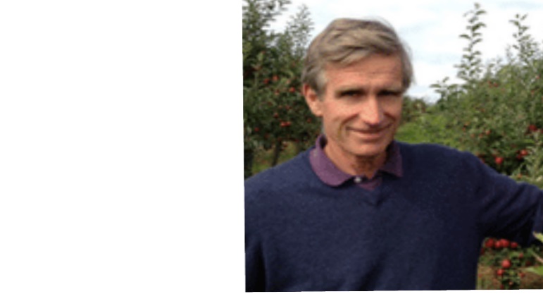 David Knight - Cameo Apples